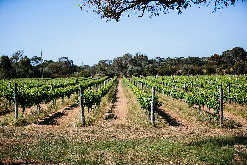 Shop all – Grace Farm